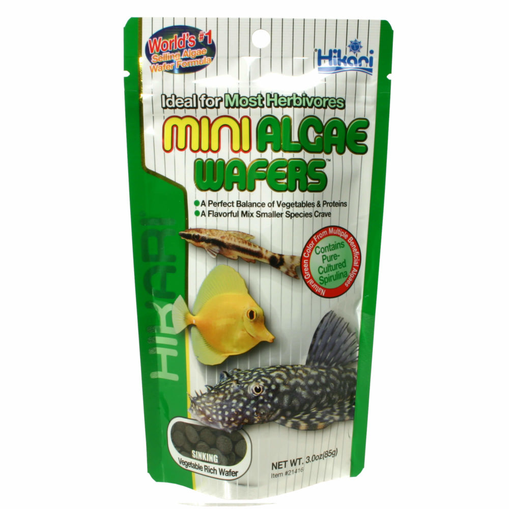 Hikari Mini Algae Wafers - GodhemsZoo